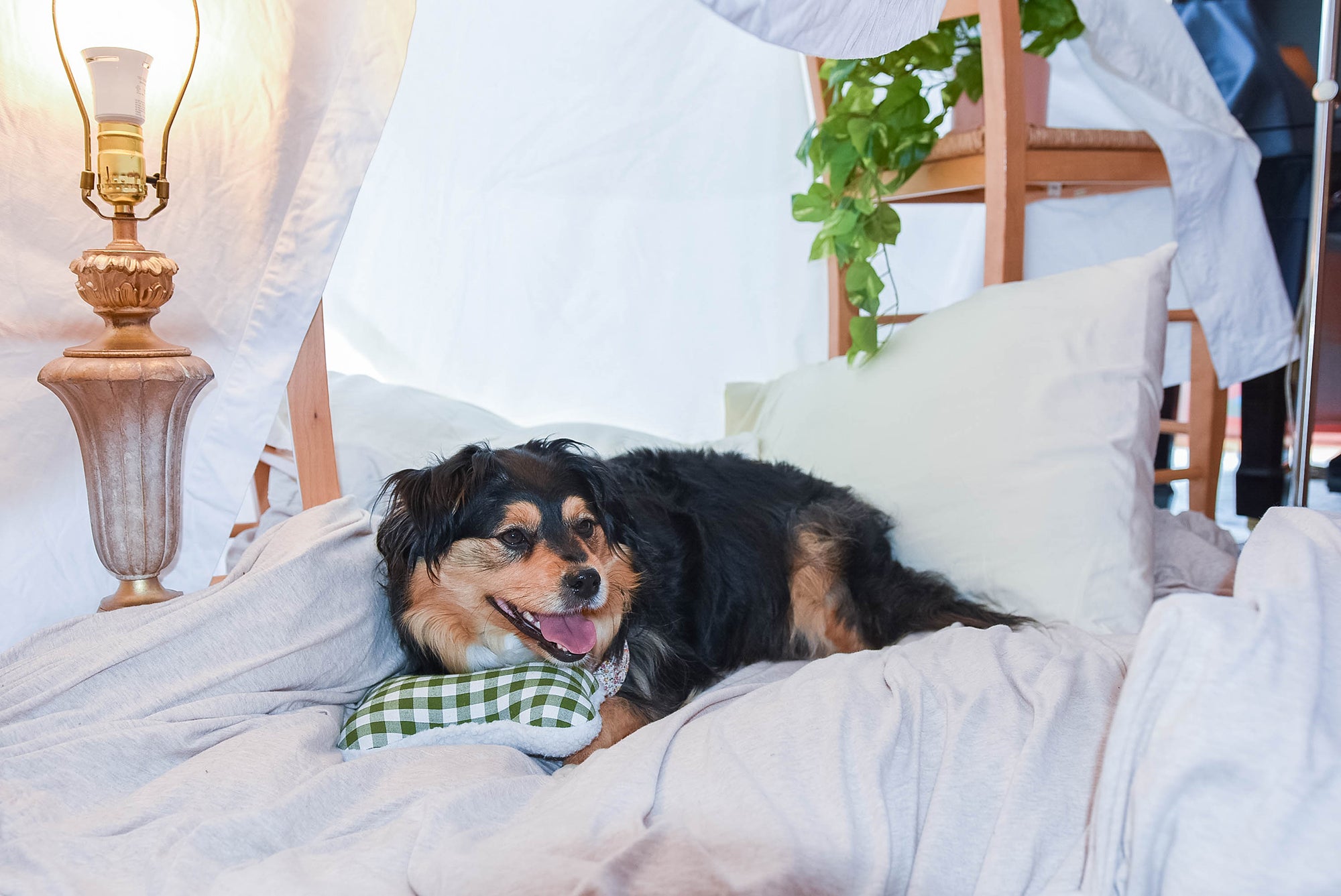 At Home Adventure - Fort Building with your Beast – MODERNBEAST