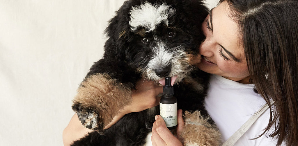 Care – MODERNBEAST