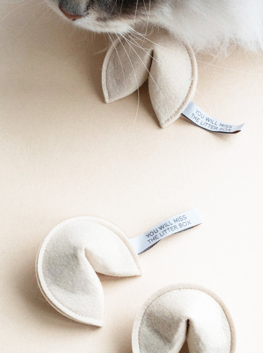 KITTY FORTUNE COOKIE - You Will Miss The Litterbox – MODERNBEAST