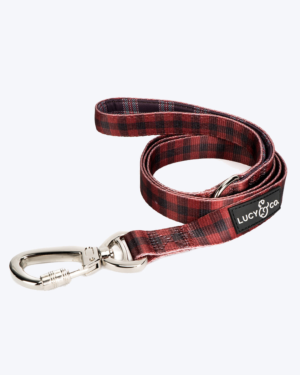 MATCHING LEASH by Lucy & Co – MODERNBEAST
